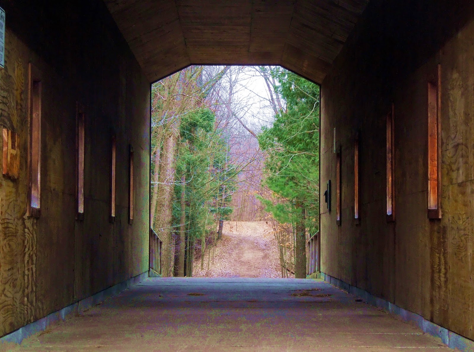 Focusing On Travel : Deerfield Nature Park