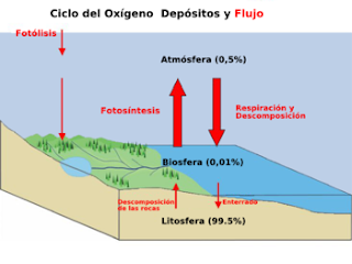 flujo de materia y energia