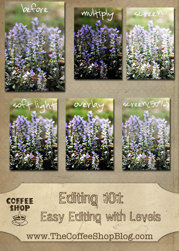 The CoffeeShop Blog: CoffeeShop Editing 101: Easy Editing with Levels