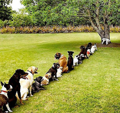 French Vocabulary Illustrated: kyrielle