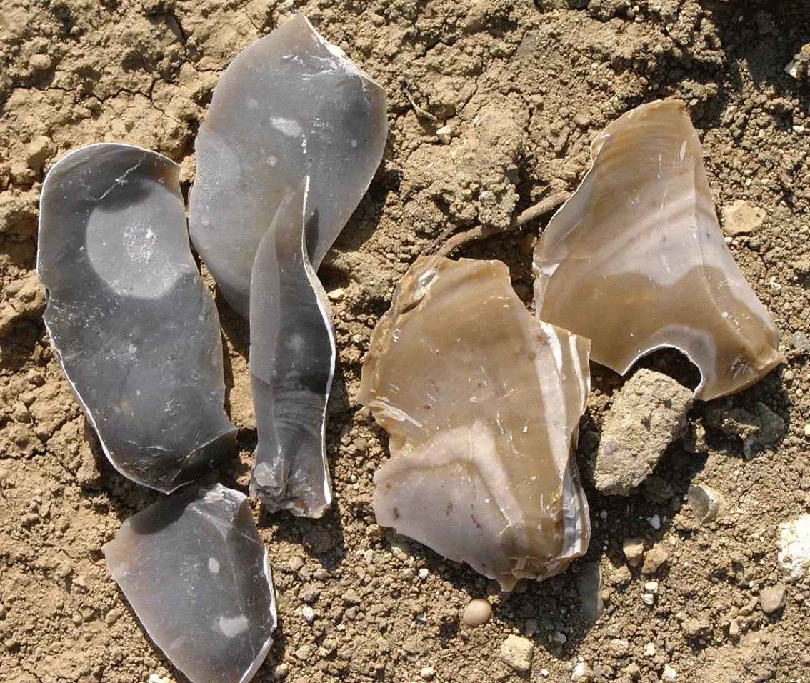 Técnicas de supervivencia en la naturaleza