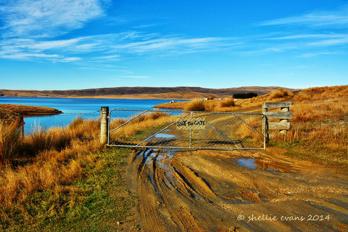 Two Go Tiki Touring: The Dismal Swamp- Lake Onslow