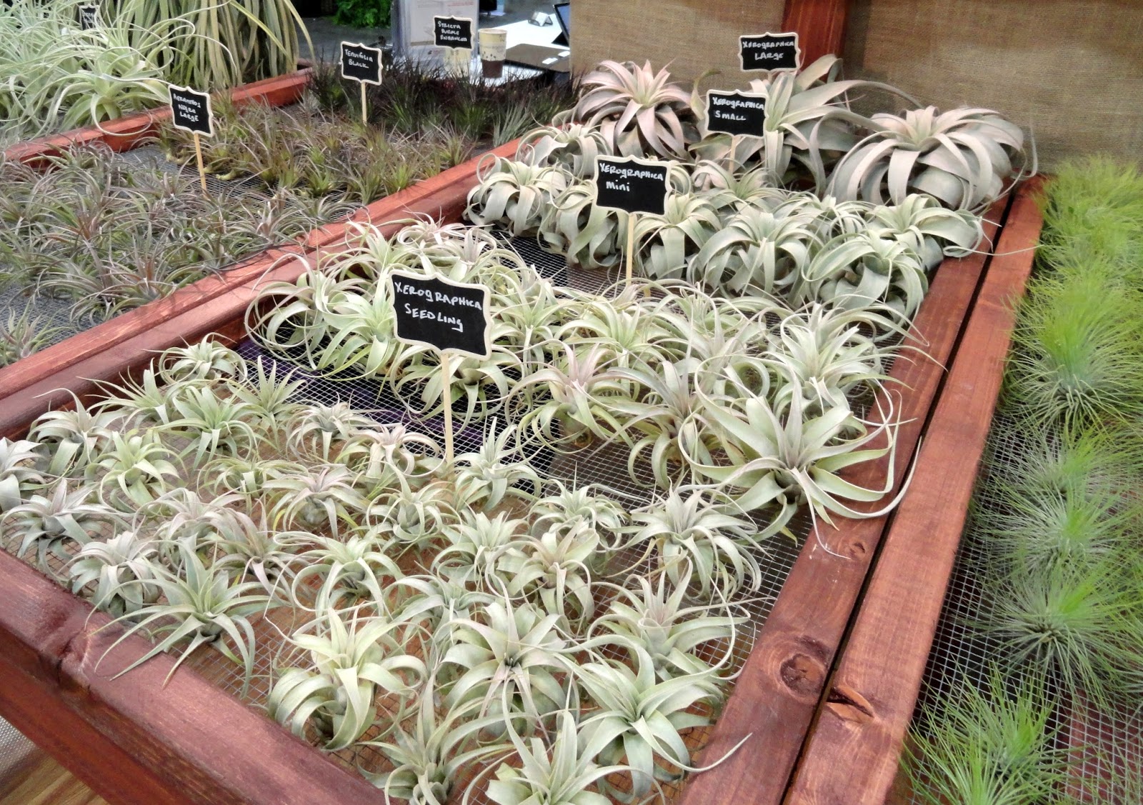 danger garden: Farwest 2015