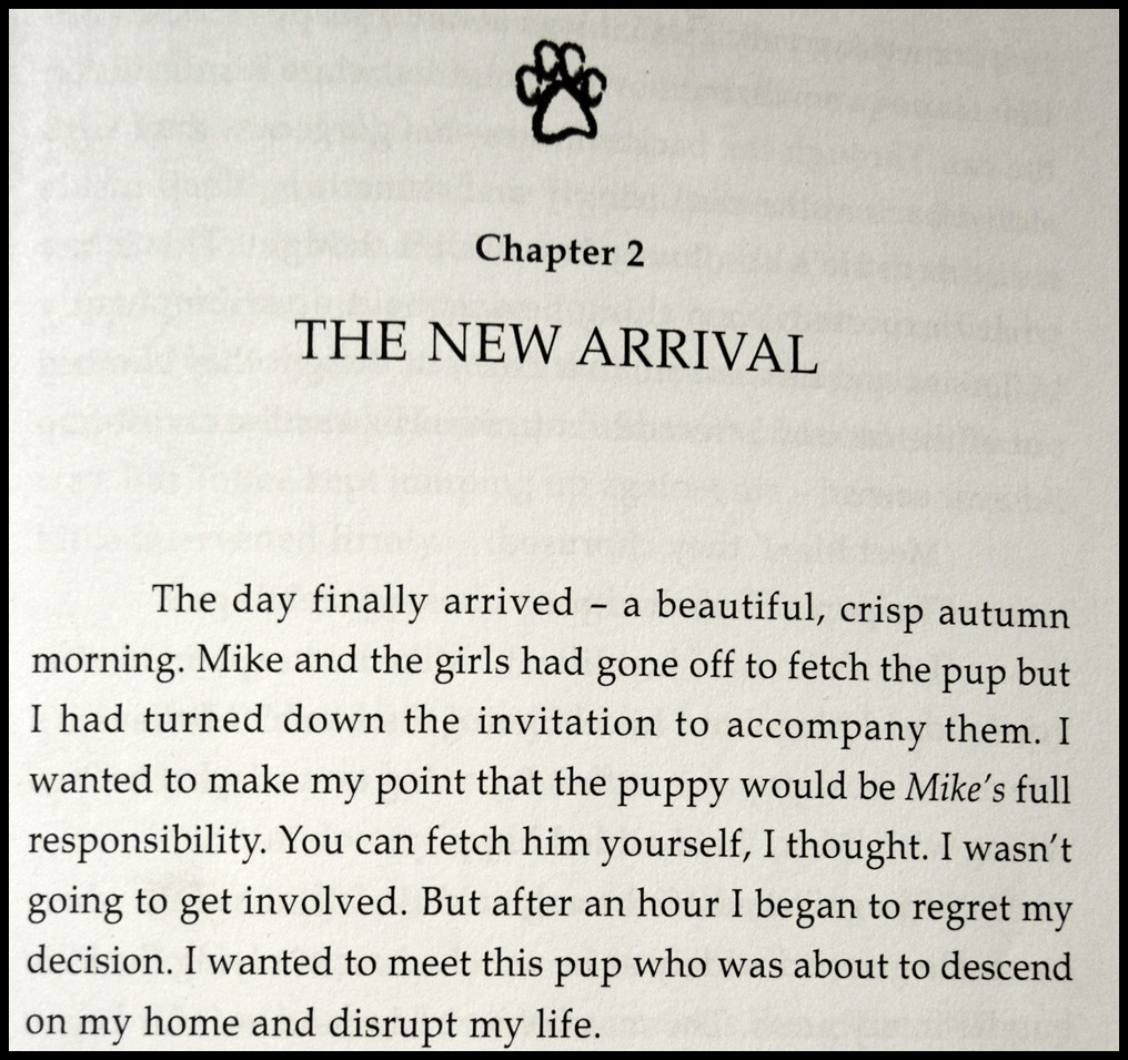 LIVING LIFE TO THE MAX: MAXDOG on KINDLE! ...and SNOW!