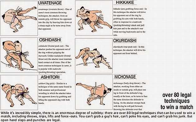 THE WORLD OF SUMO: The Rules of Sumo