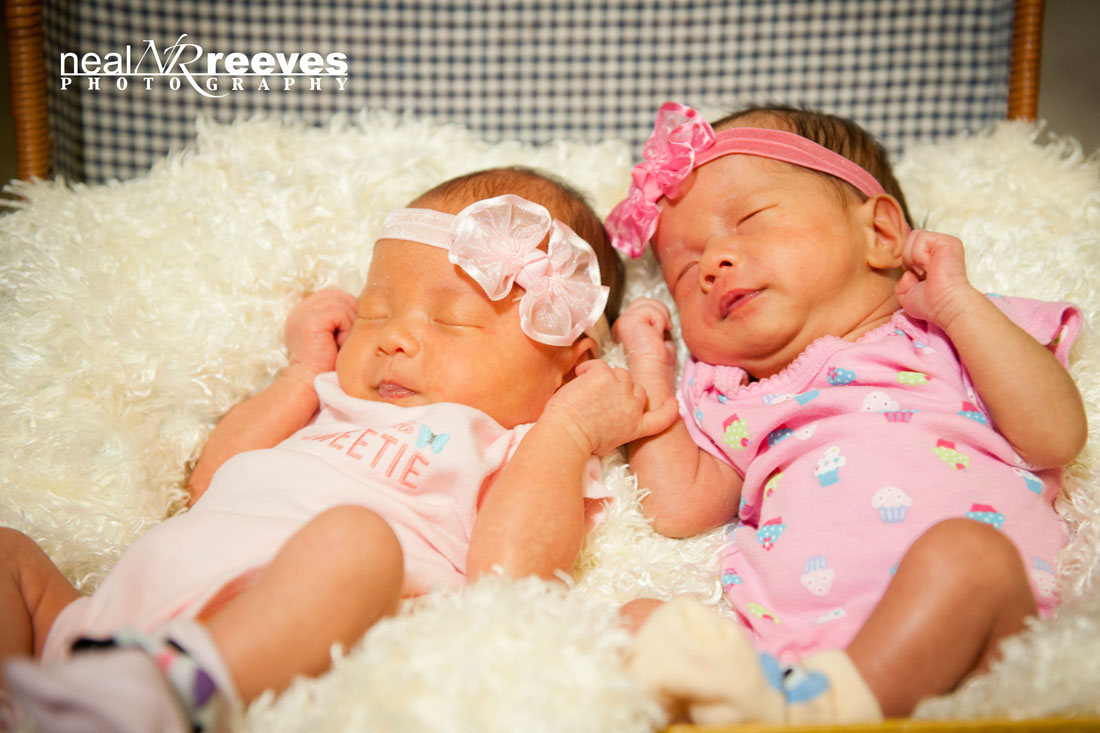 Neal Reeves Photography