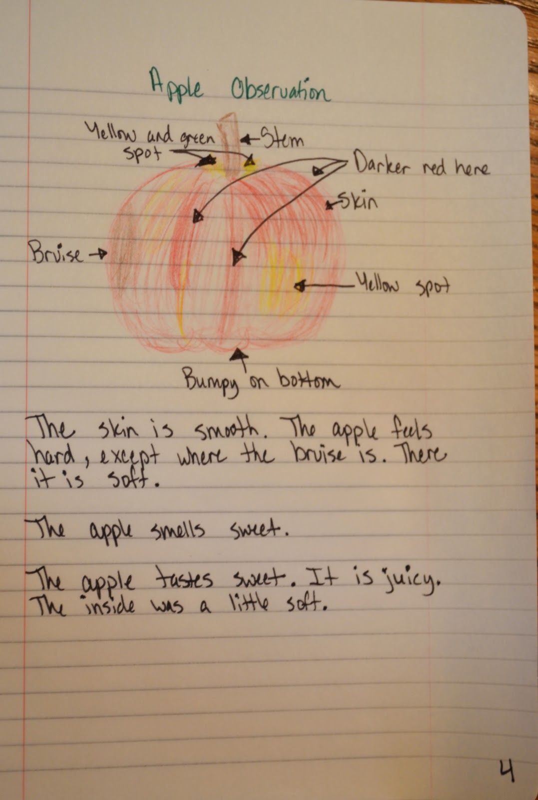 The 4th Grade May-niacs: Apple Observation