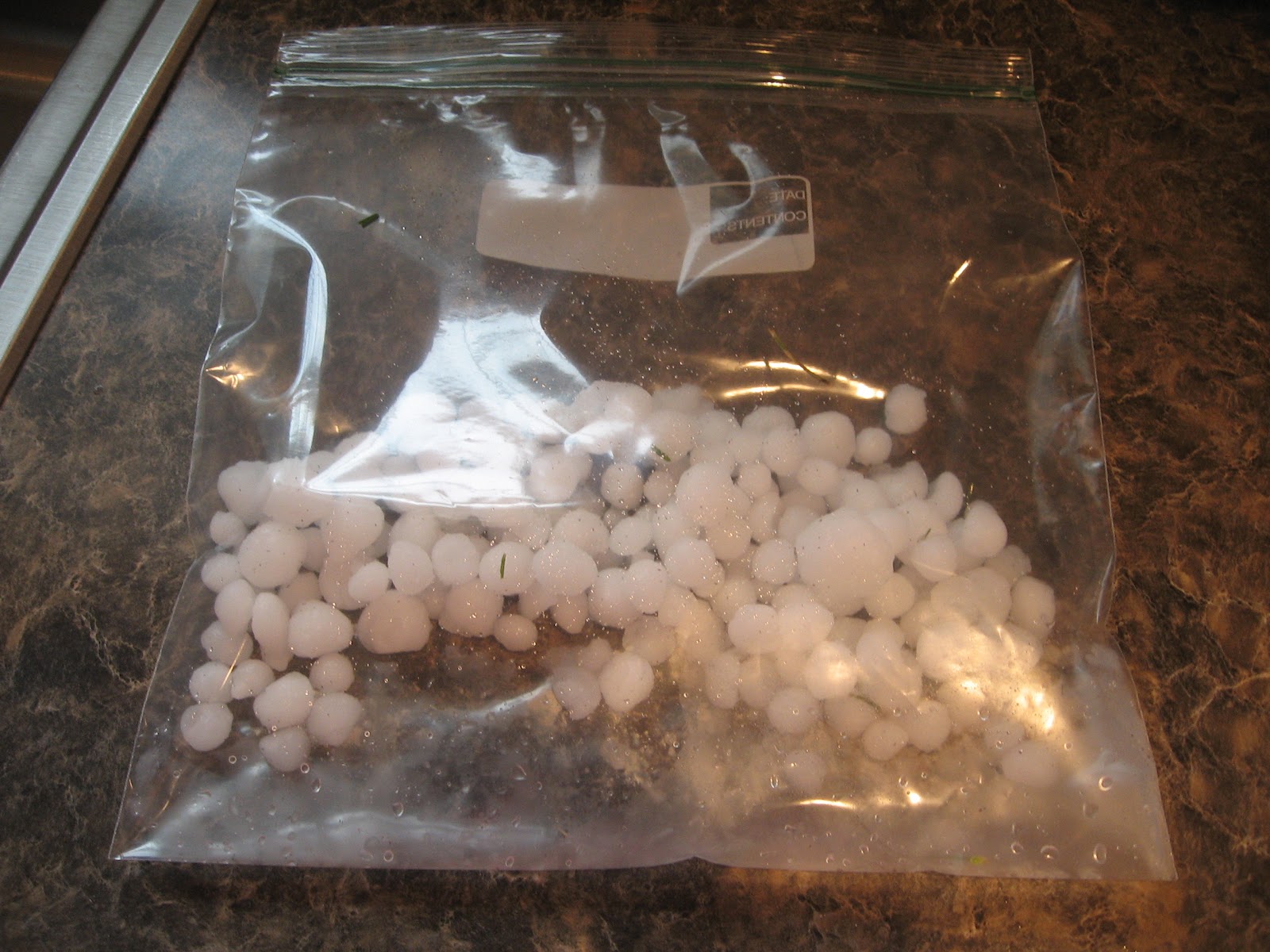 Almost Unschoolers: Homemade Hail Shakes