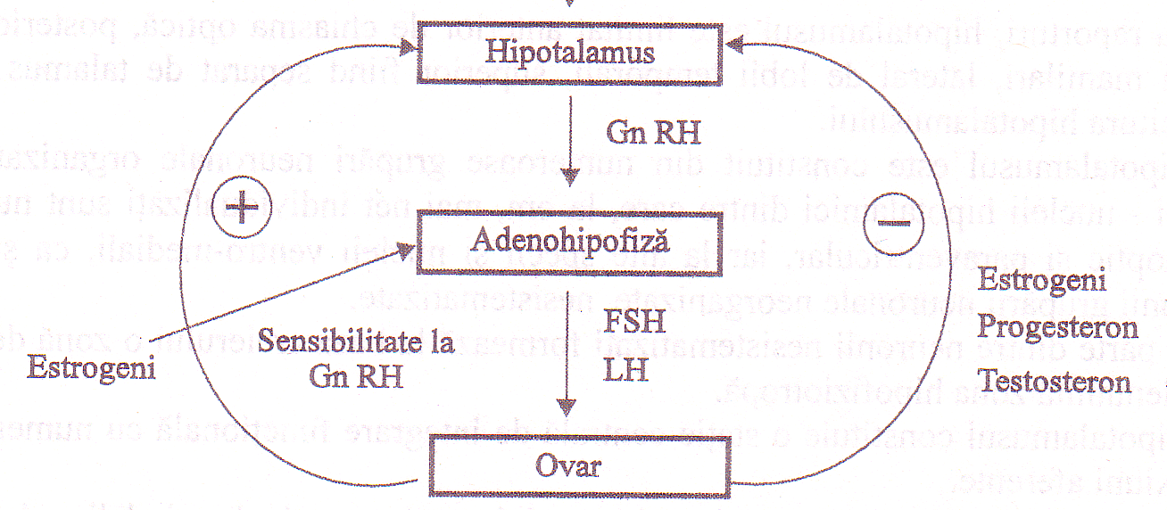 AMG: CURSURI AMG , GINECOLOGIE - C3 DOZĂRILE HORMONALE