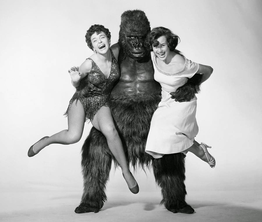 Rip Jagger's Dojo: The Case Of The Curious Gorilla!