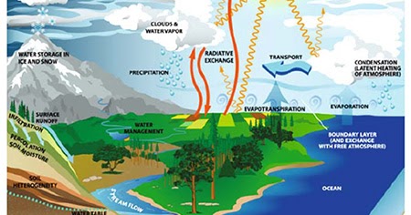 Integrated Watershed Management Programme (IWMP)