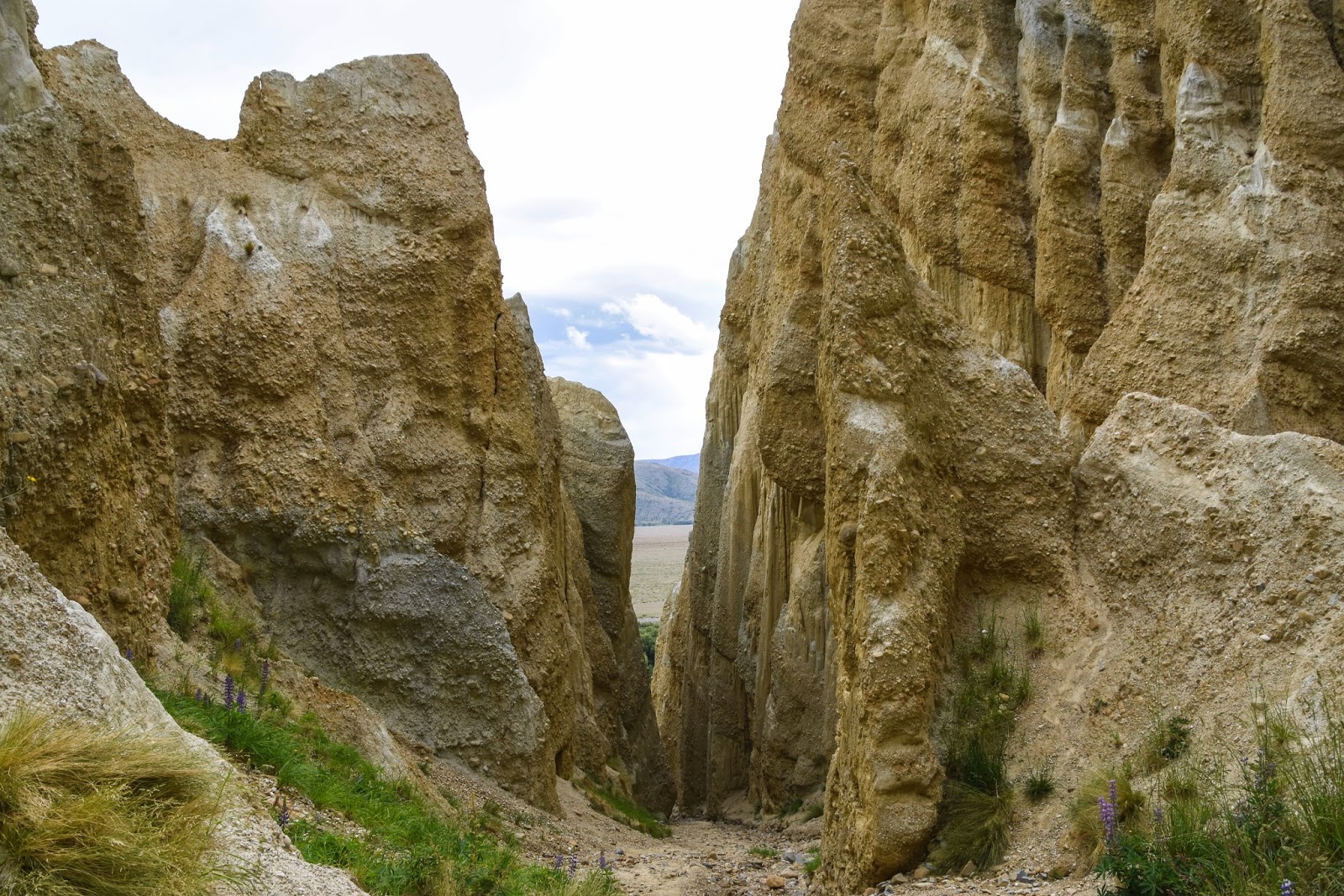 Paws Awhile: Omarama's Clay Cliffs