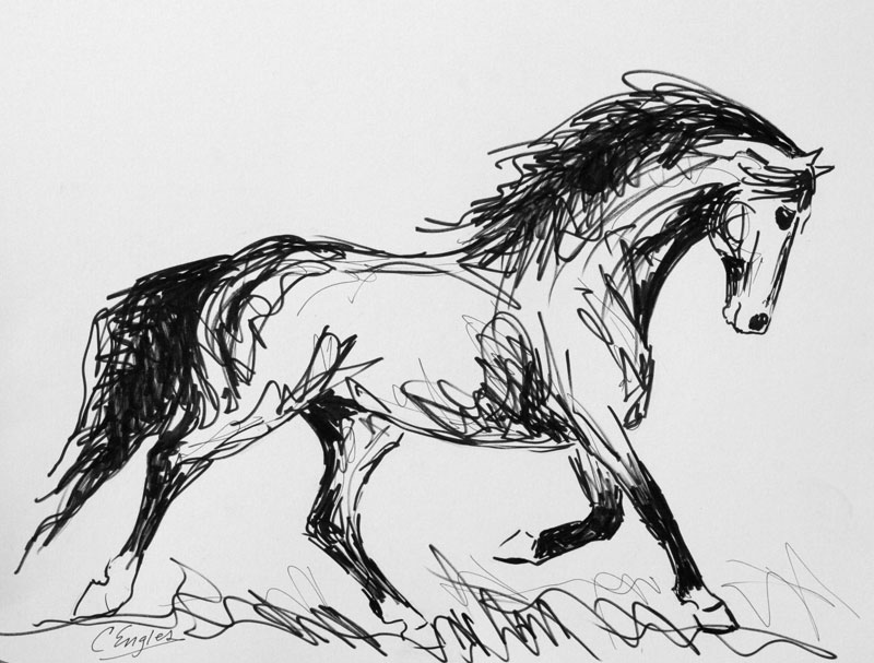 Carol Engles Art: Lusitano Stallion Three, ink drawing by Carol Engles
