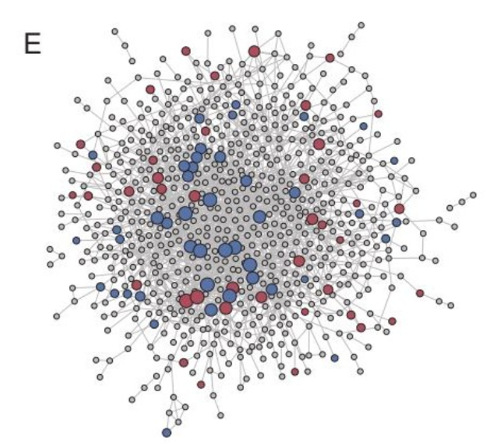 Understanding Networks: Do Early Birds or Night Owls Have Better Social ...