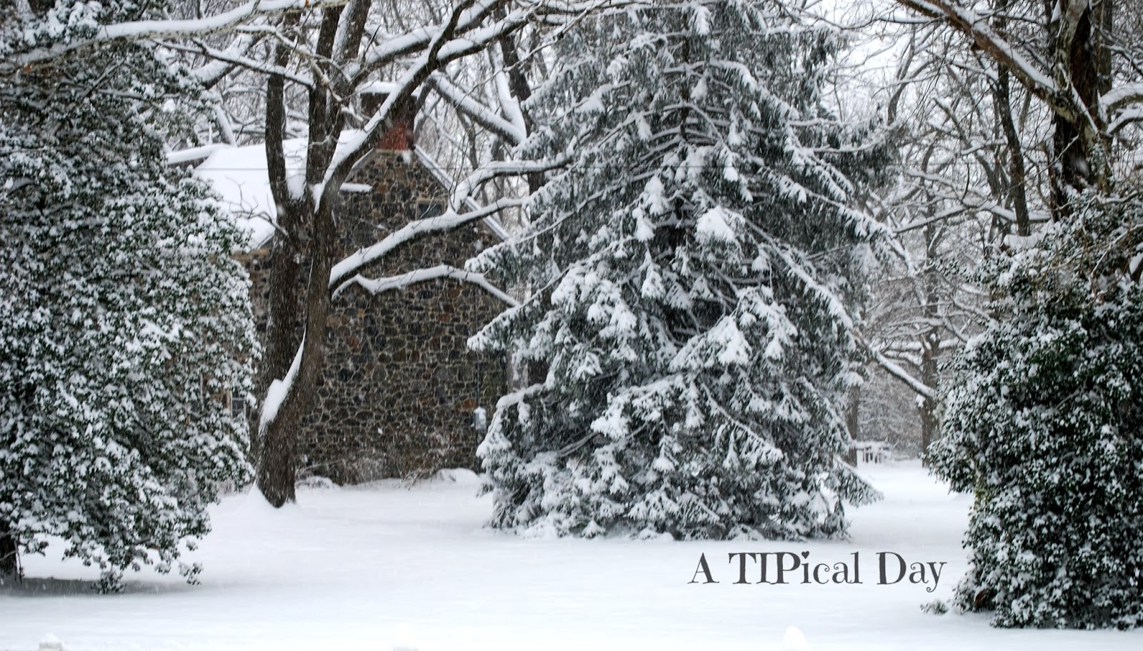 Whatever Goes Wednesday - 15 Fun Ideas for a Snow Day ~ A TIPical Day