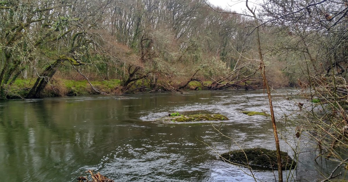 Pesca por los Ríos de Galicia: INICIO DE LA TEMPORADA DE PESCA EN GALICIA