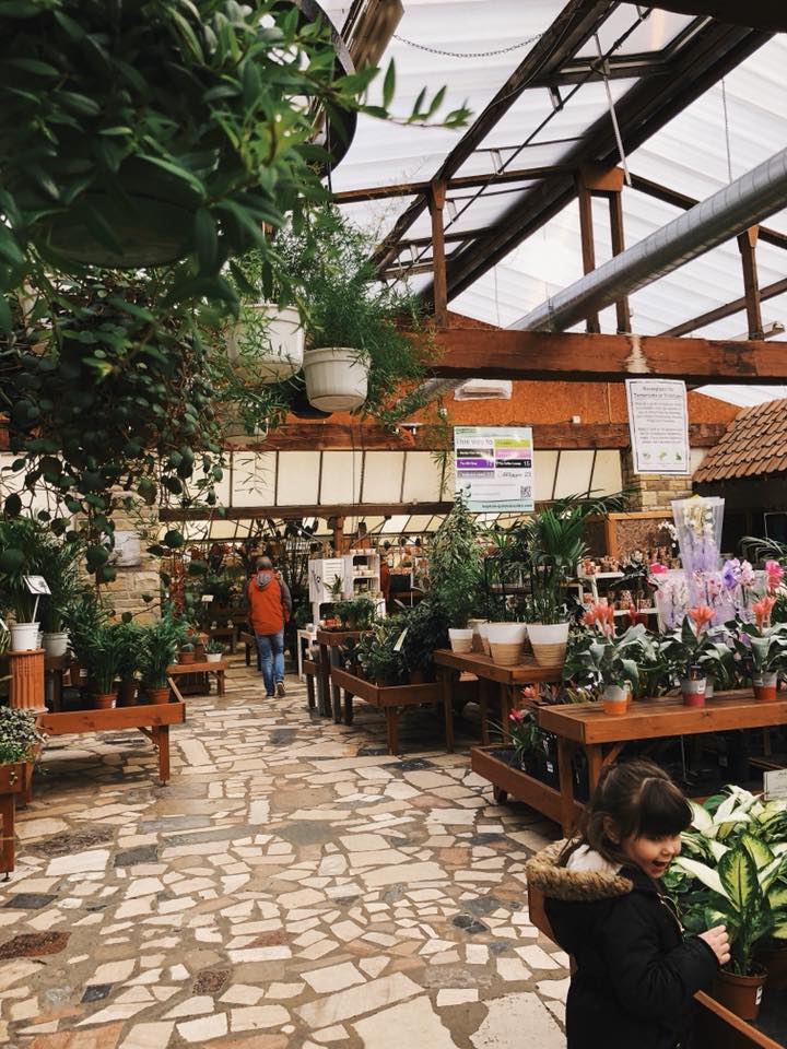 Baytree & Fun Farm | BySarah