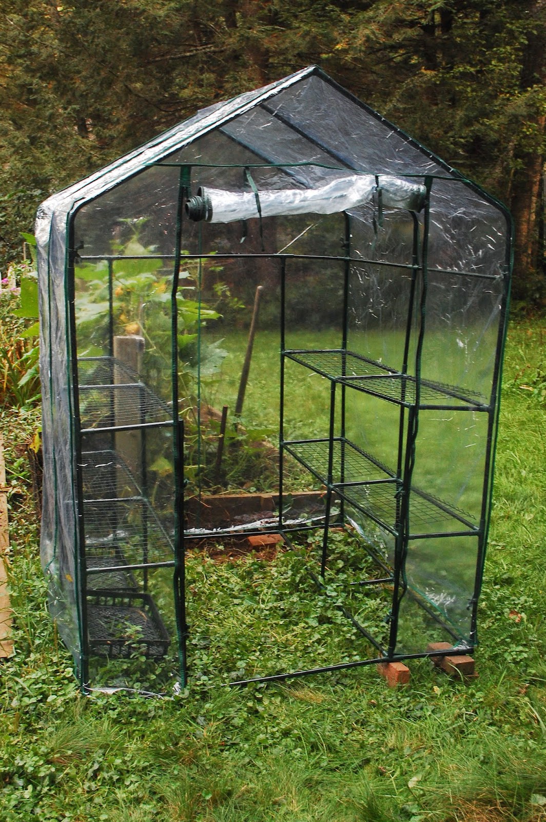 Sprouts: My New Greenhouse!