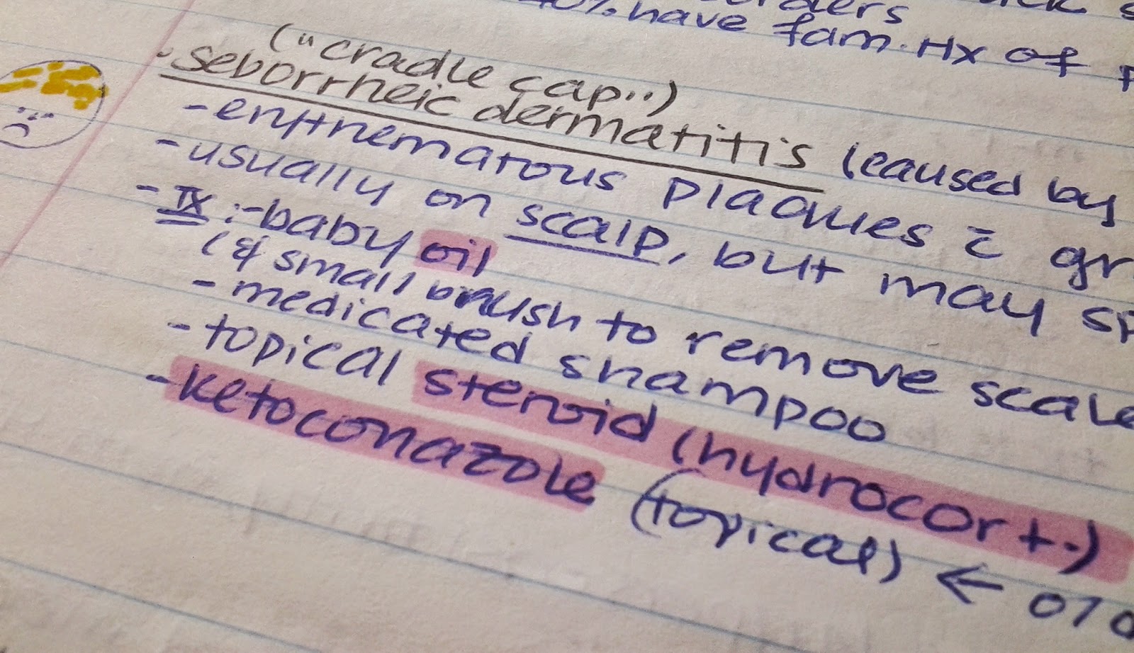 Winding Spiral Case: How To Study: Making Notes