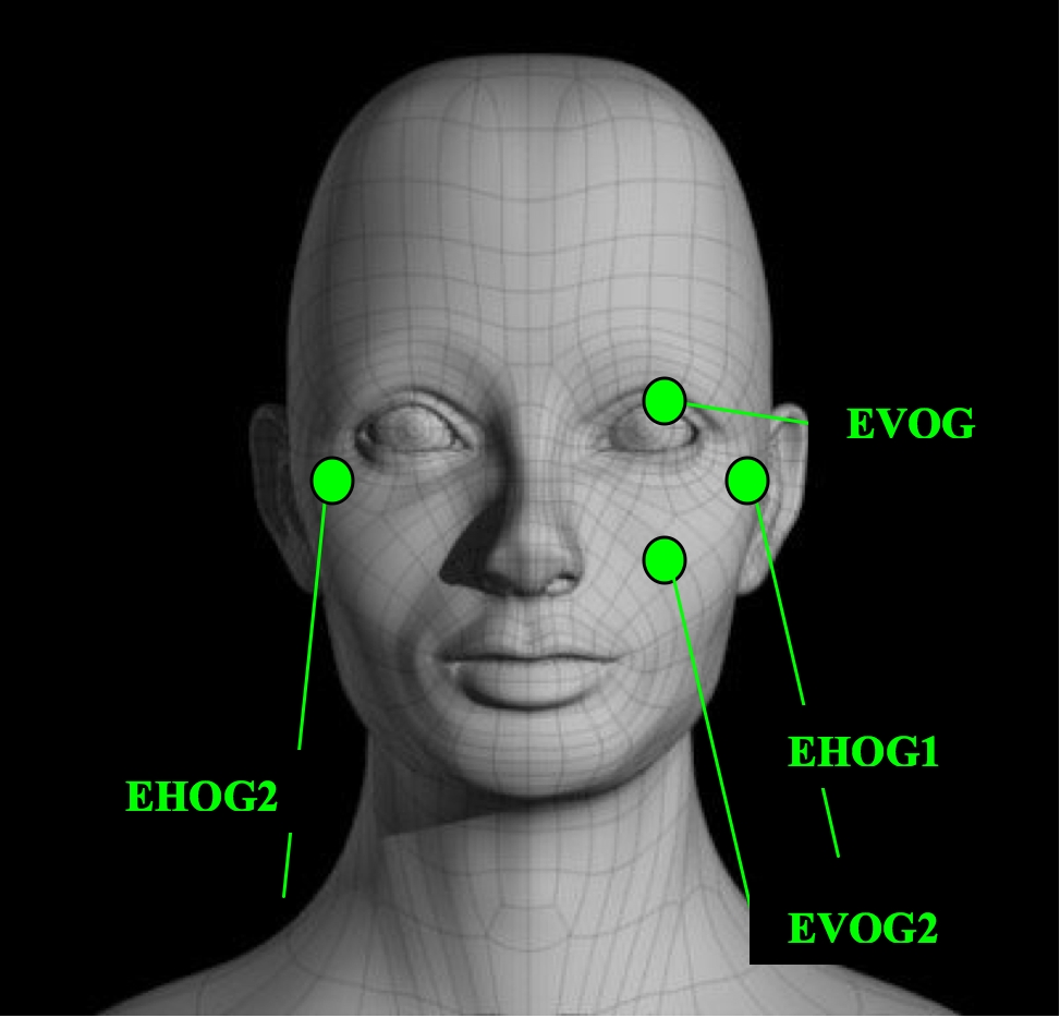 EOG and EMG Controlled Mouse Movement: Project Proposal