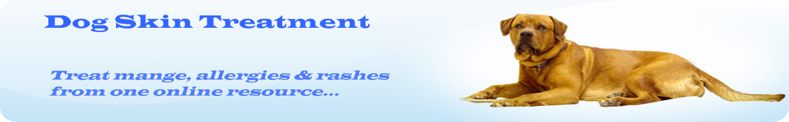 Treat Demodectic Mange Guide: What You Should Know About Demodex Mange ...