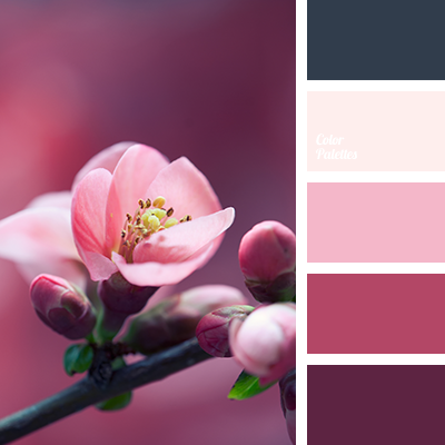 SANCTUM: Shades of Sakura