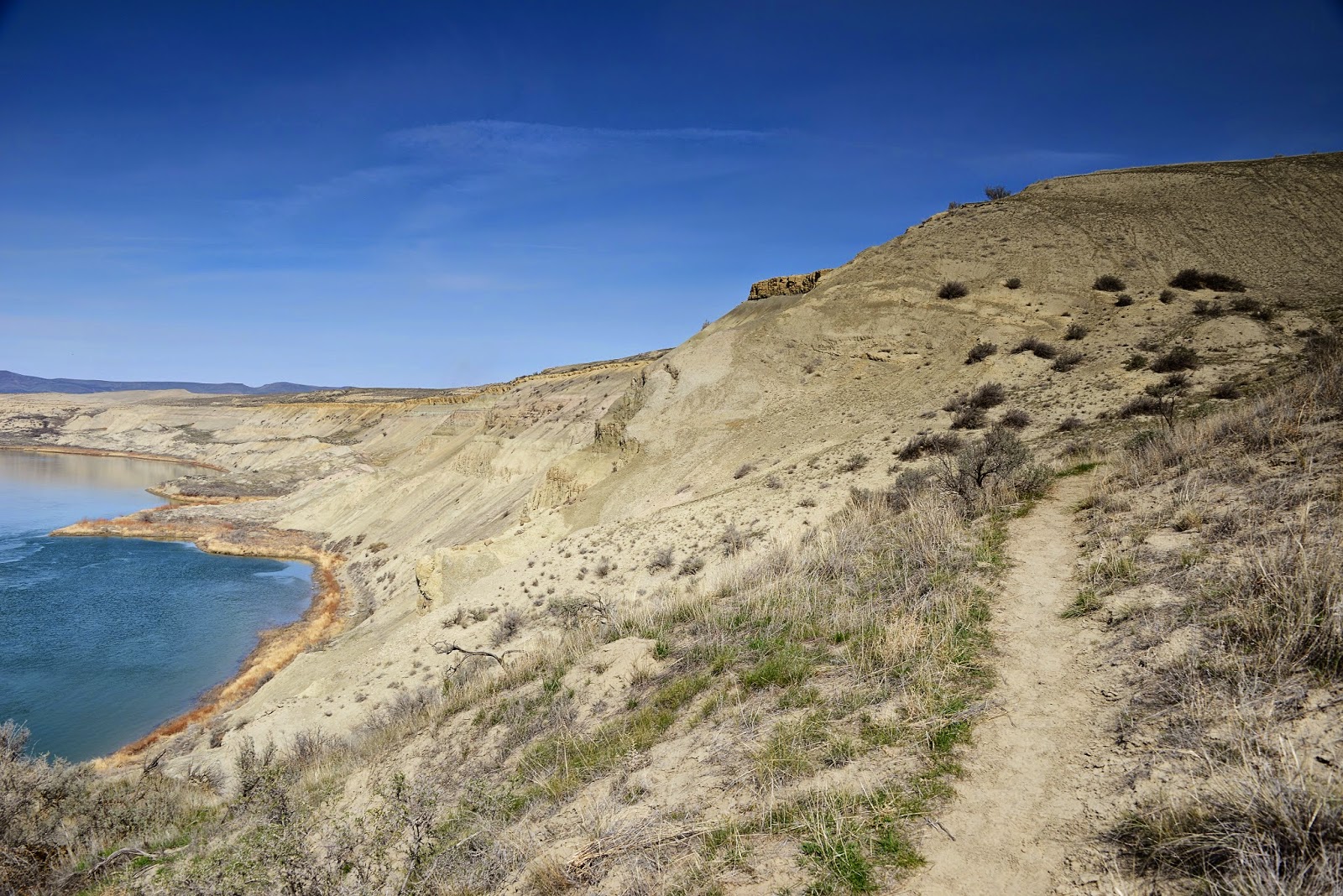 White Bluffs- North Slope, Eastern Washington