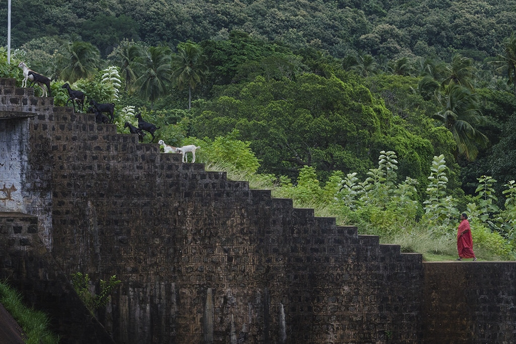 Tamilnadu Tourism: Gundar Dam, Sengottai, Thirunelveli
