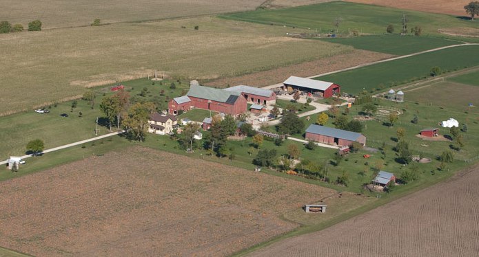 Mulberry Lane Farm: Up, Up & Away.