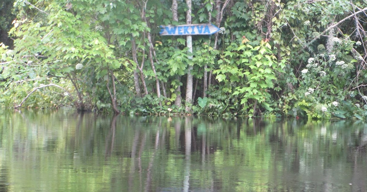 Dave's Yak Tales: Wekiva River