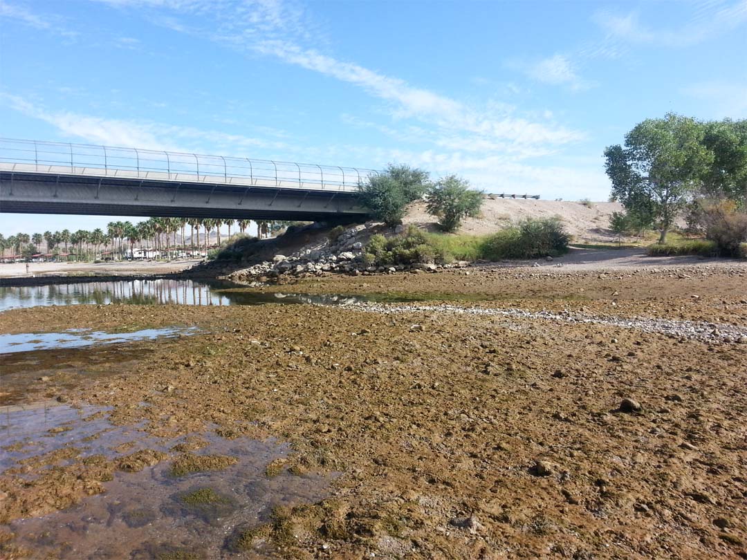 Laughlin Buzz: Colorado River Levels low this week in Laughlin, Nevada
