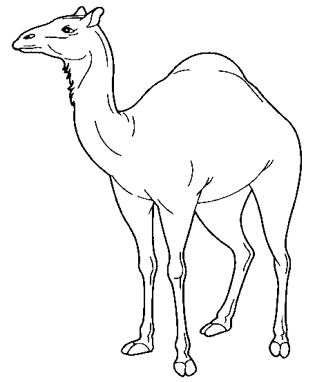 Sekitar Kawasan Sekolah: Gambar Outline_Binatang