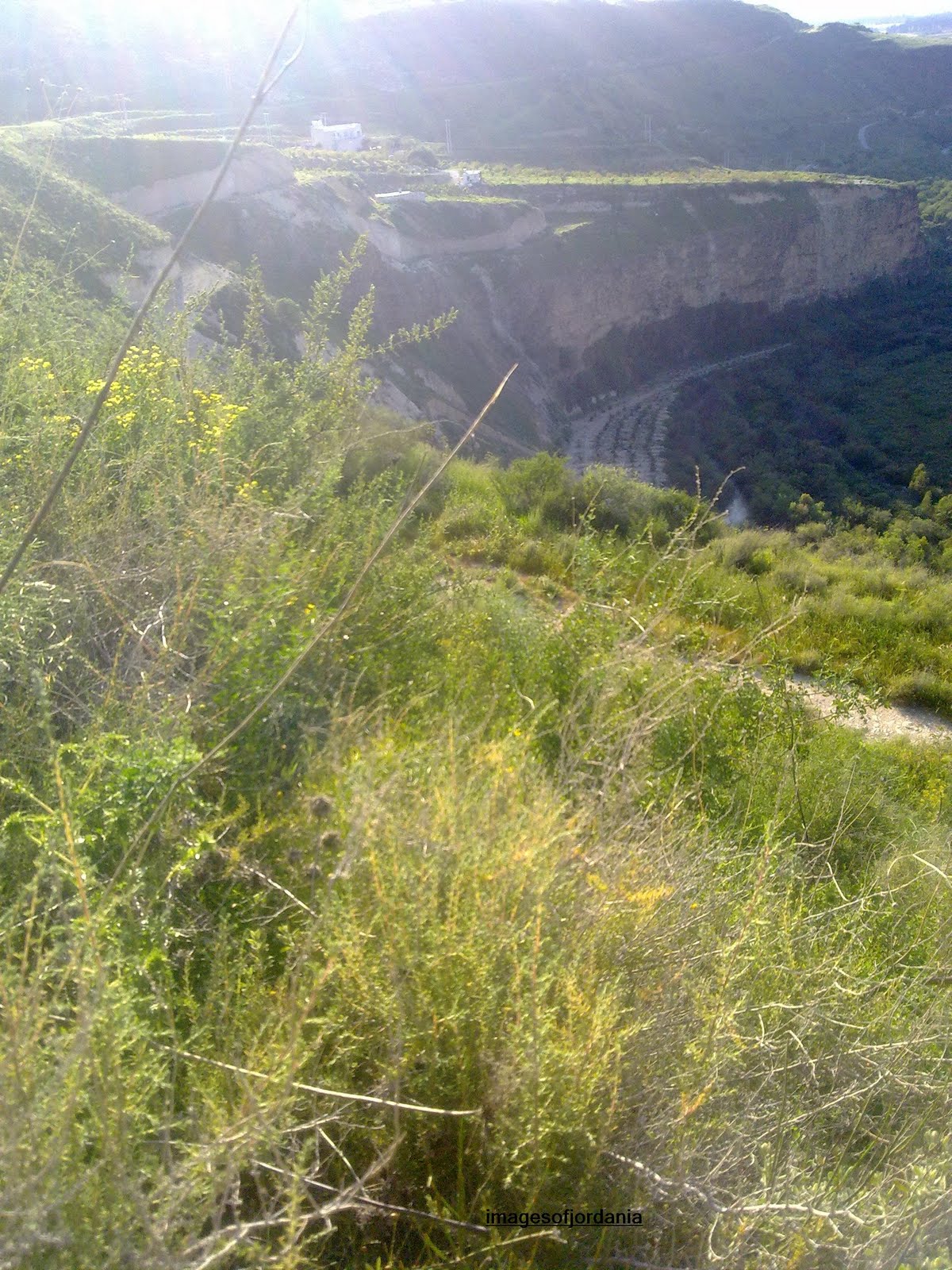 images of jordania: AL-Ghor-jordan