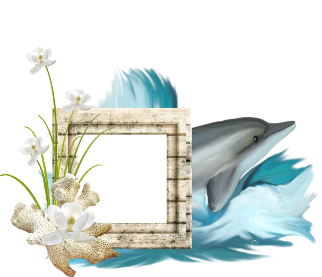 ForgetMeNot: dolphins frames