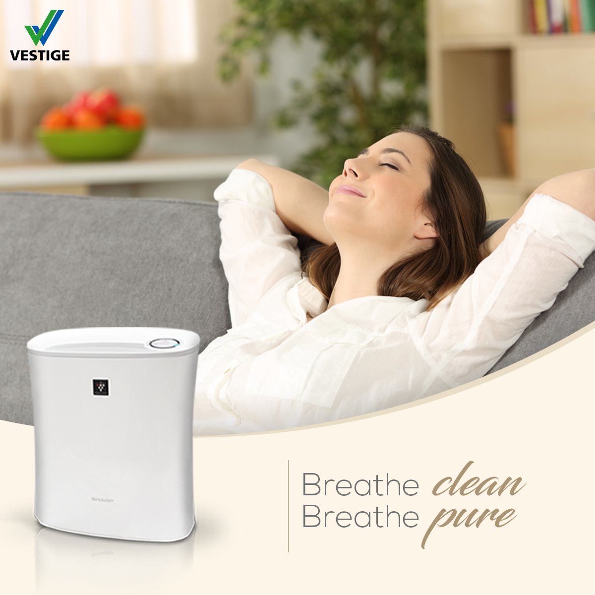Vestige Sharp Air Purifier - Indoor Air Purifier Filter Vestige Sharp Air Purifier - Indoor Air Purifier Filter