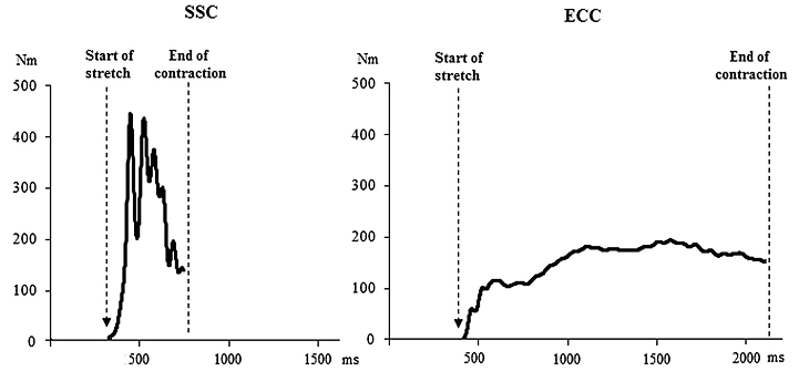 Stretch-Shortening Cycle Exercise Superior to Eccentric Exercises in ...