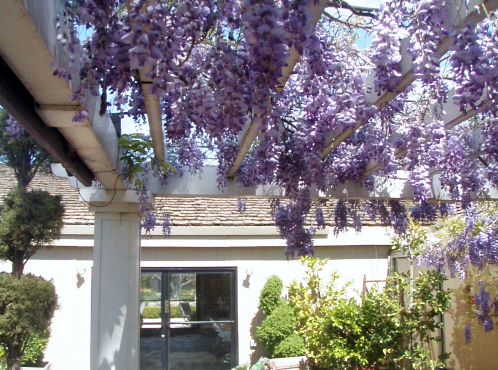 Cabin & Cottage : Happy Spring at Alden Lane