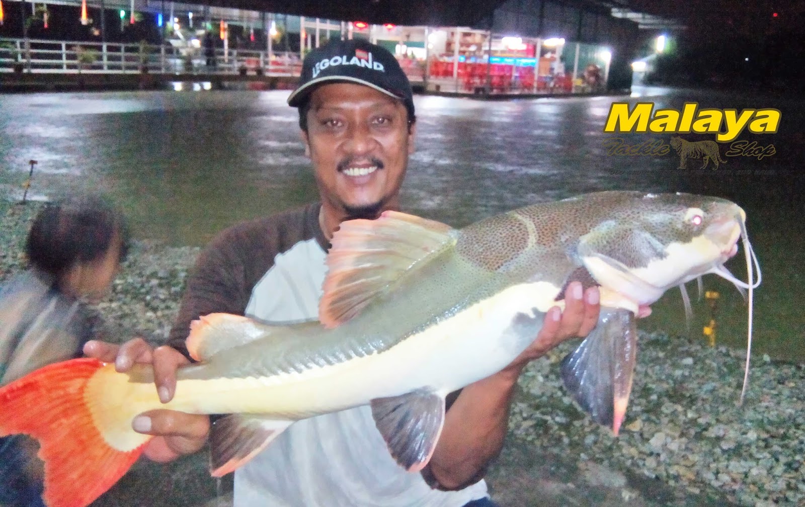 Malaya Tackle Shop: Redtail Gagah Di Jurassic Game Fishing Pond, Rawang ...