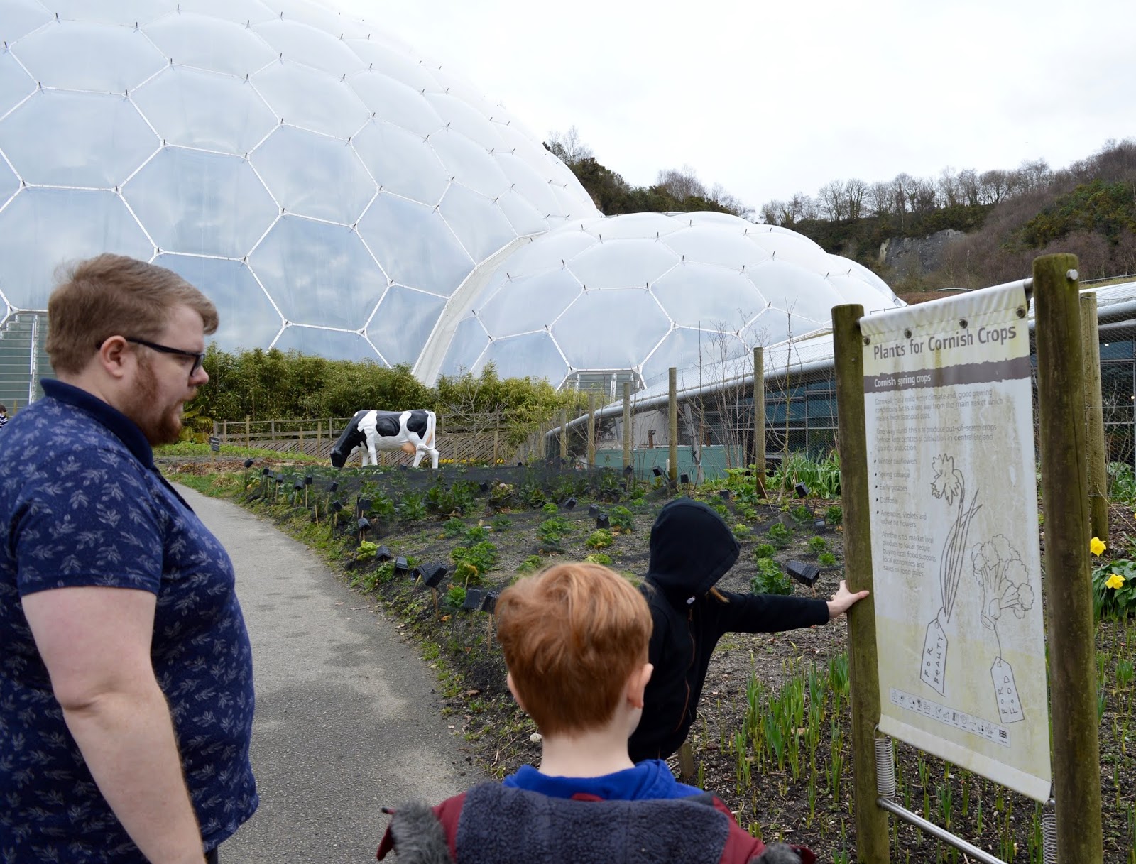 10 Reasons to Visit the Eden Project in Winter | North East Family Fun