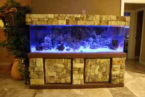 Giant Aquariums: 250 Gal. no dimensions