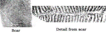 forensics blog: Fingerprint Analysis