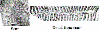 forensics blog: Fingerprint Analysis