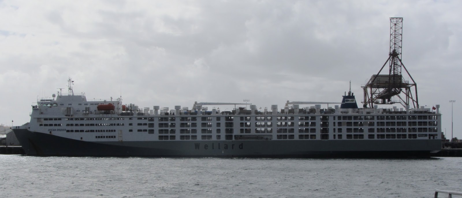 Carlz Boats: Livestock Carrier OCEAN DROVER