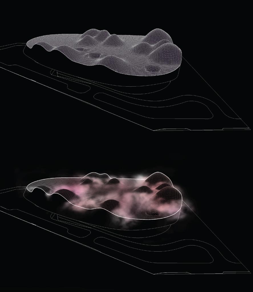 WEATHERS / Sean Lally . OOS-ag – a f a s i a