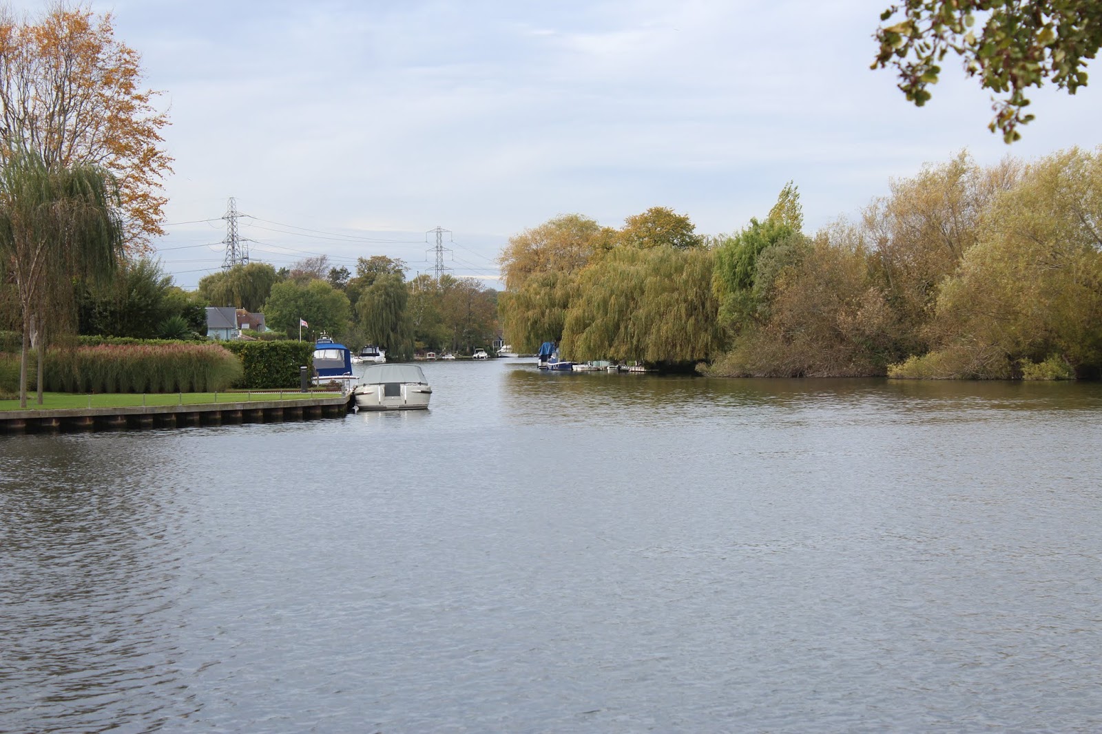 24 Hours in Shepperton Village
