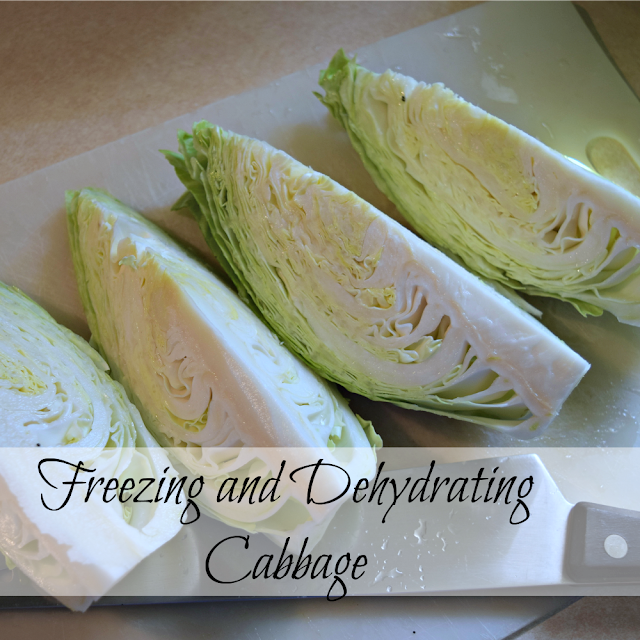 Freezing and Dehydrating Cabbage - Oak Hill Homestead