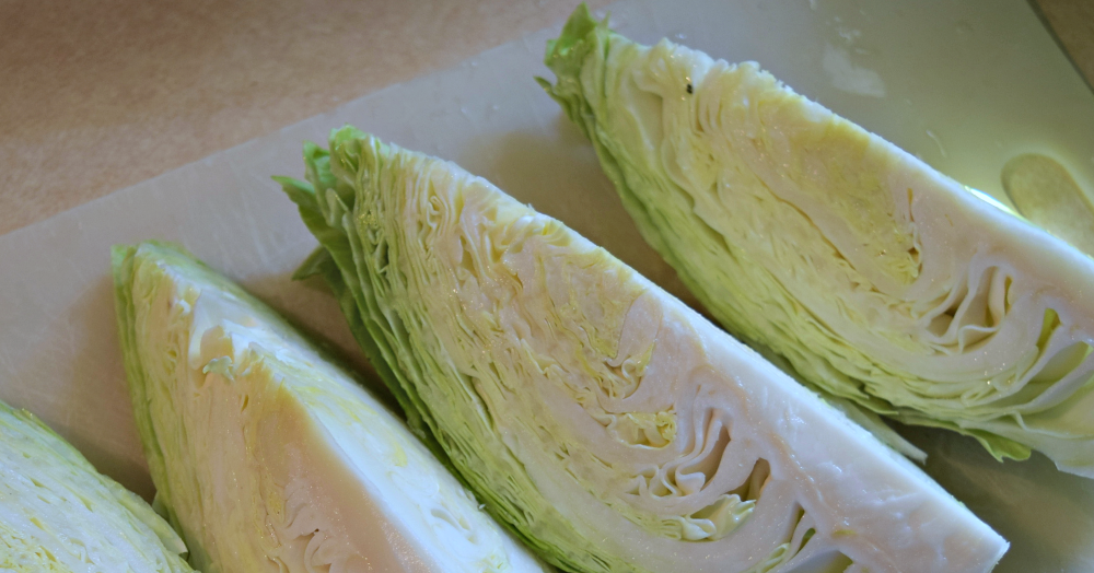 Freezing and Dehydrating Cabbage - Oak Hill Homestead