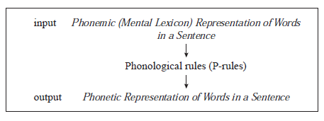 PHONOLOGY