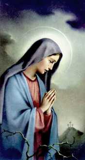The Catholic Reader: Rosary of Our Lady's Tears