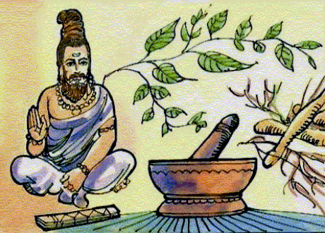 Armonía & Espiritualidad: Manual gratuito de Ayurveda